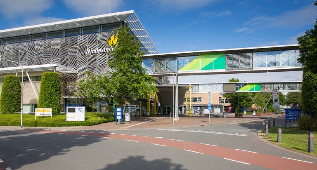 Hogeschool Windesheim viert verjaardag ChatGPT met lancering AI app | Onderwijsland